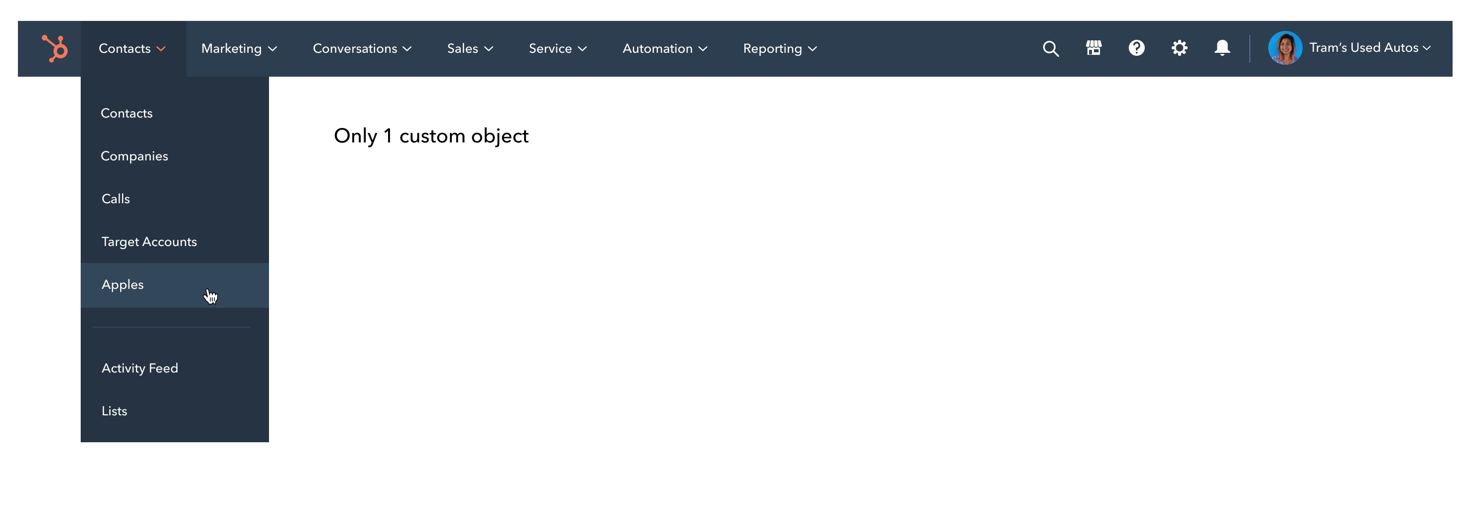 Custom Objects Are Now in the Navigation